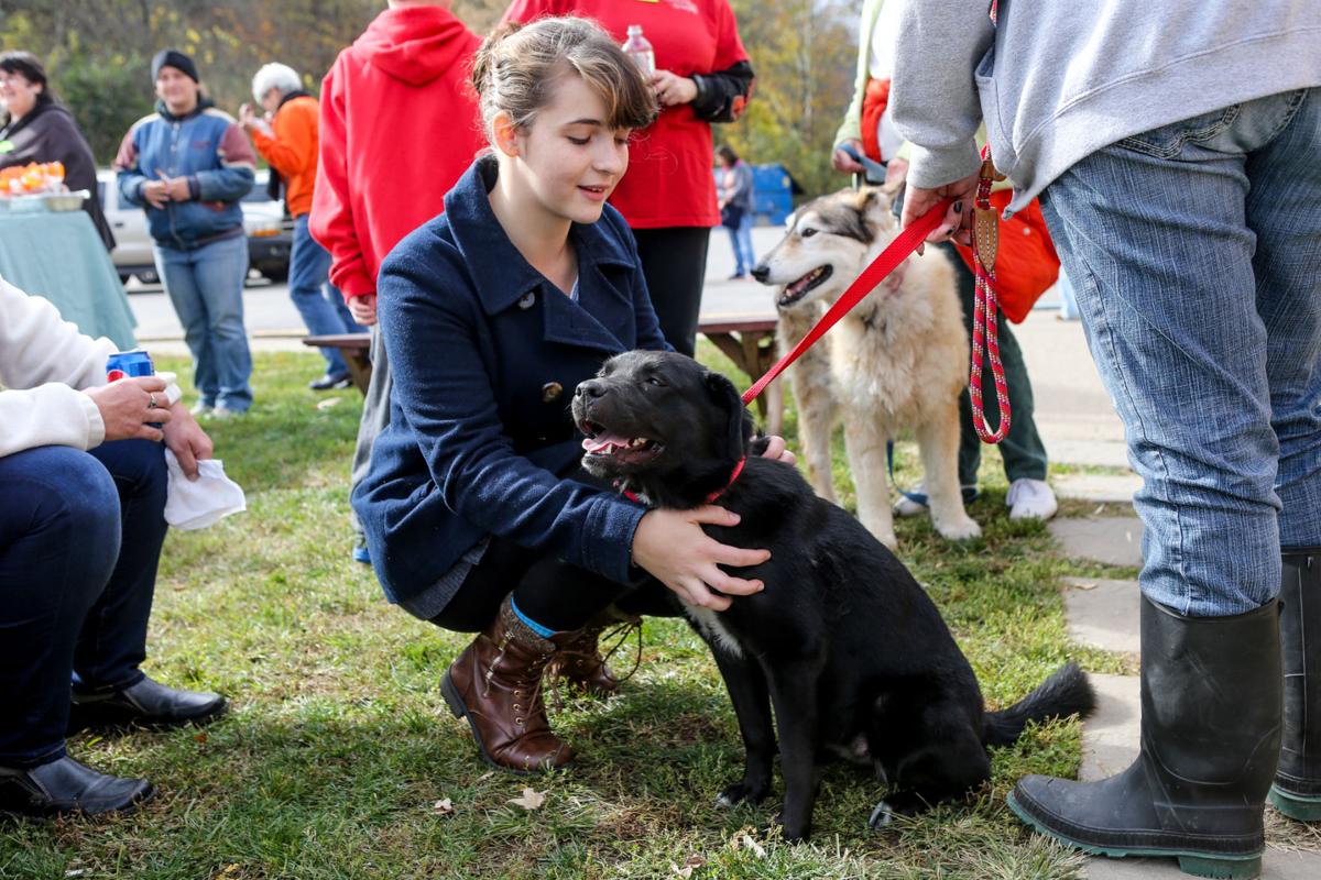 Photos: Huntington Cabell Wayne Animal Shelter open house | Multimedia ...