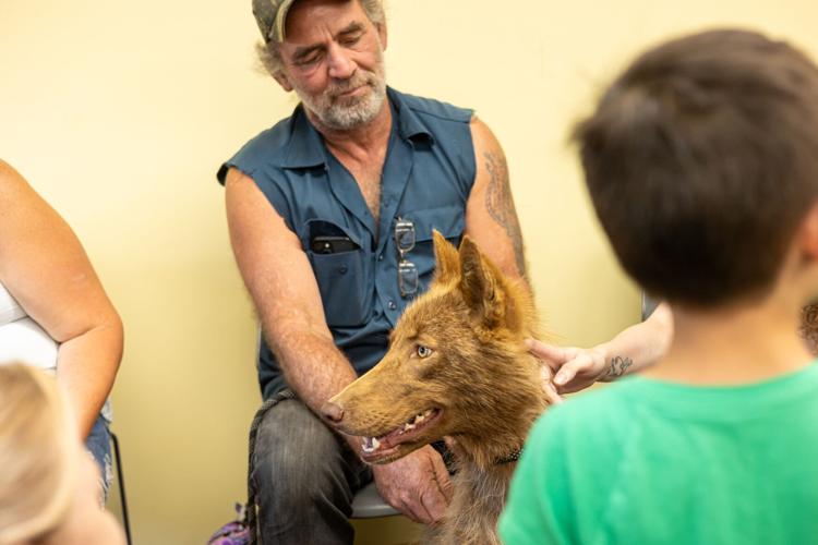 Photos: Cabell County Public Library offers 'Wolves in the Library ...
