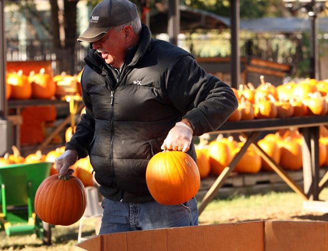 Gallery: Ric Griffith's Pumpkin House Preparation | Photos News ...