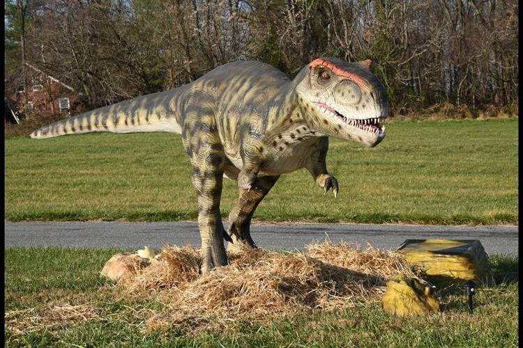 Dinosaurs are coming to the Lawrence County Fairgrounds | Features ...