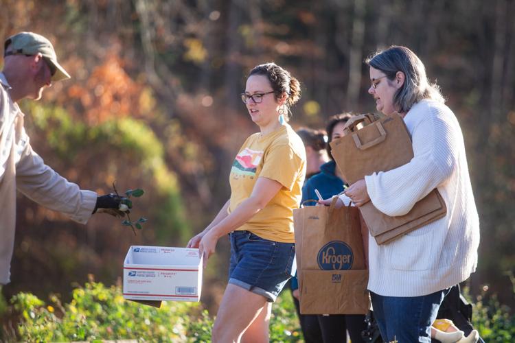 Photos: Rose Clipping Give-Away at Ritter Park Rose Garden | Multimedia ...