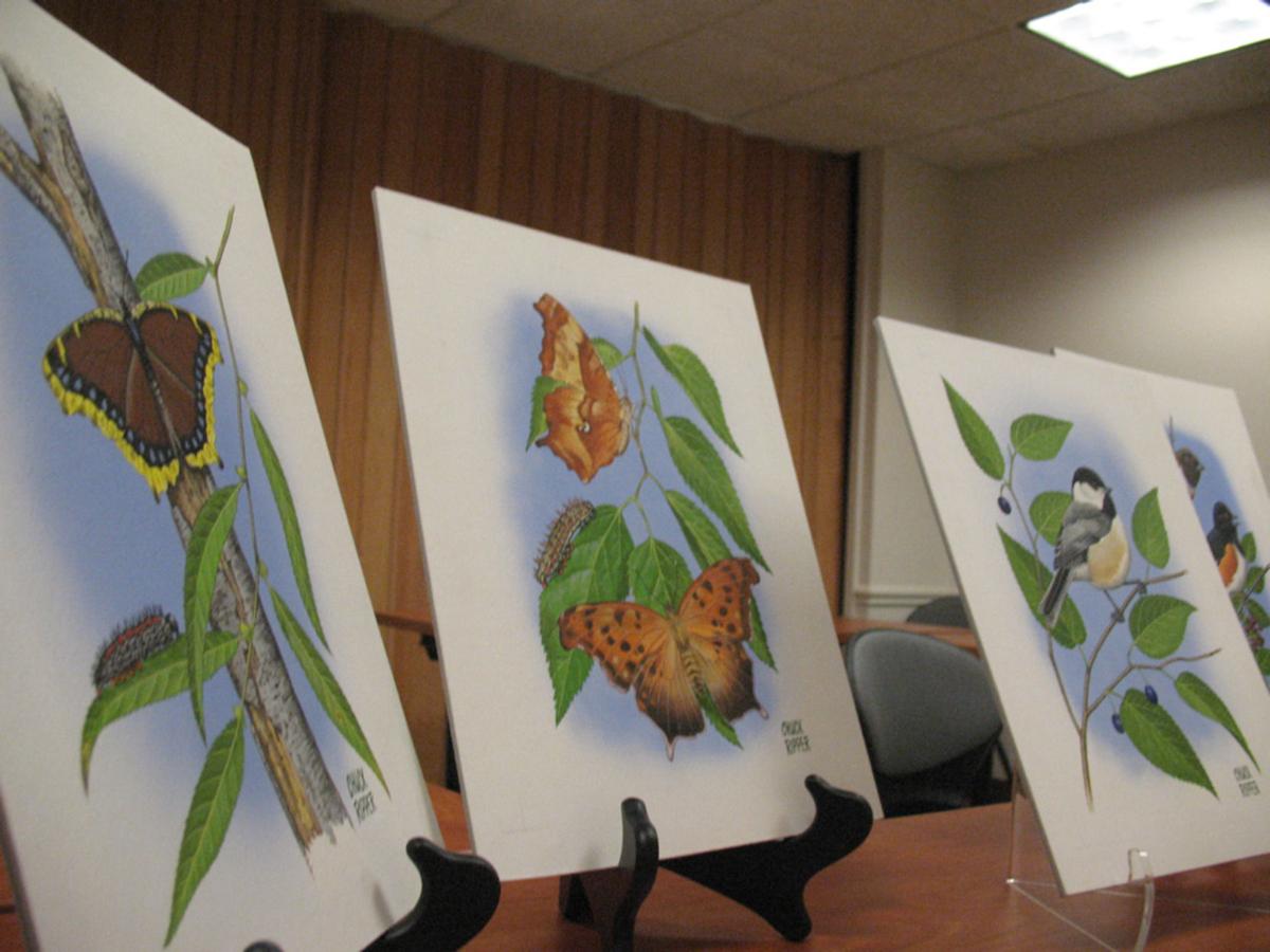 Gallery: Wildlife artist Chuck Ripper | Features/Entertainment | herald ...