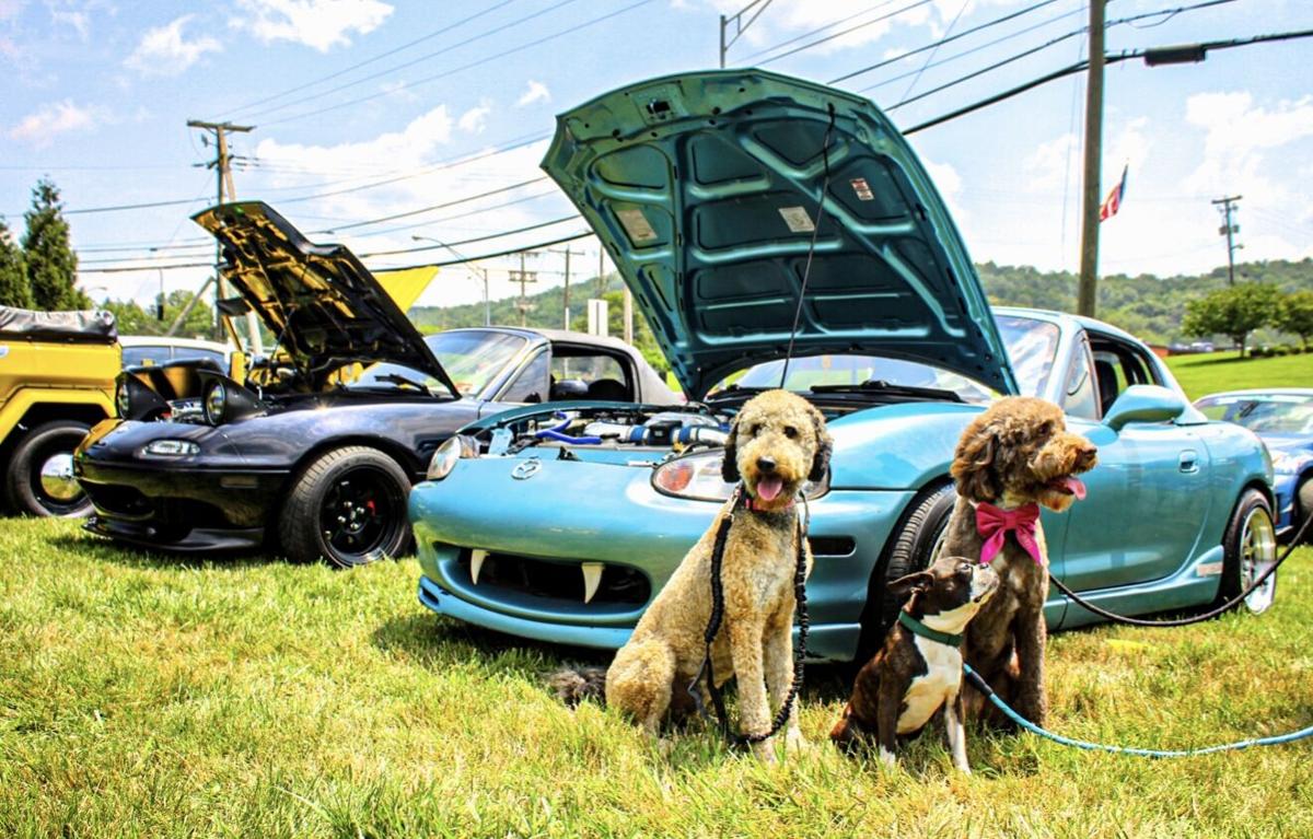 Paws & Pistons Car and Pet Show to benefit Putnam County Animal Shelter ...