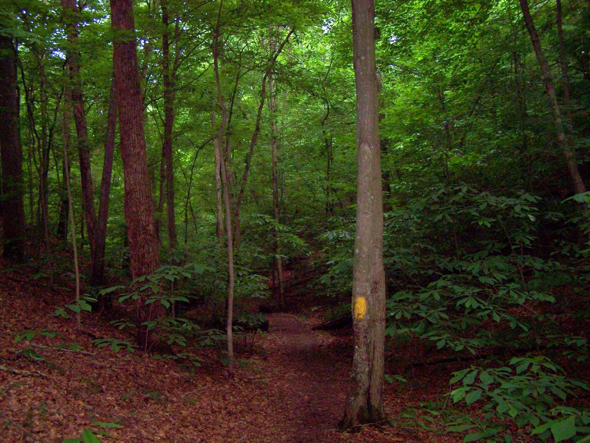 Gallery: Greenbo Lake State Resort Park | Photos News | herald-dispatch.com