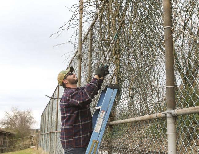 Photos: Helpington | Photo Galleries | herald-dispatch.com