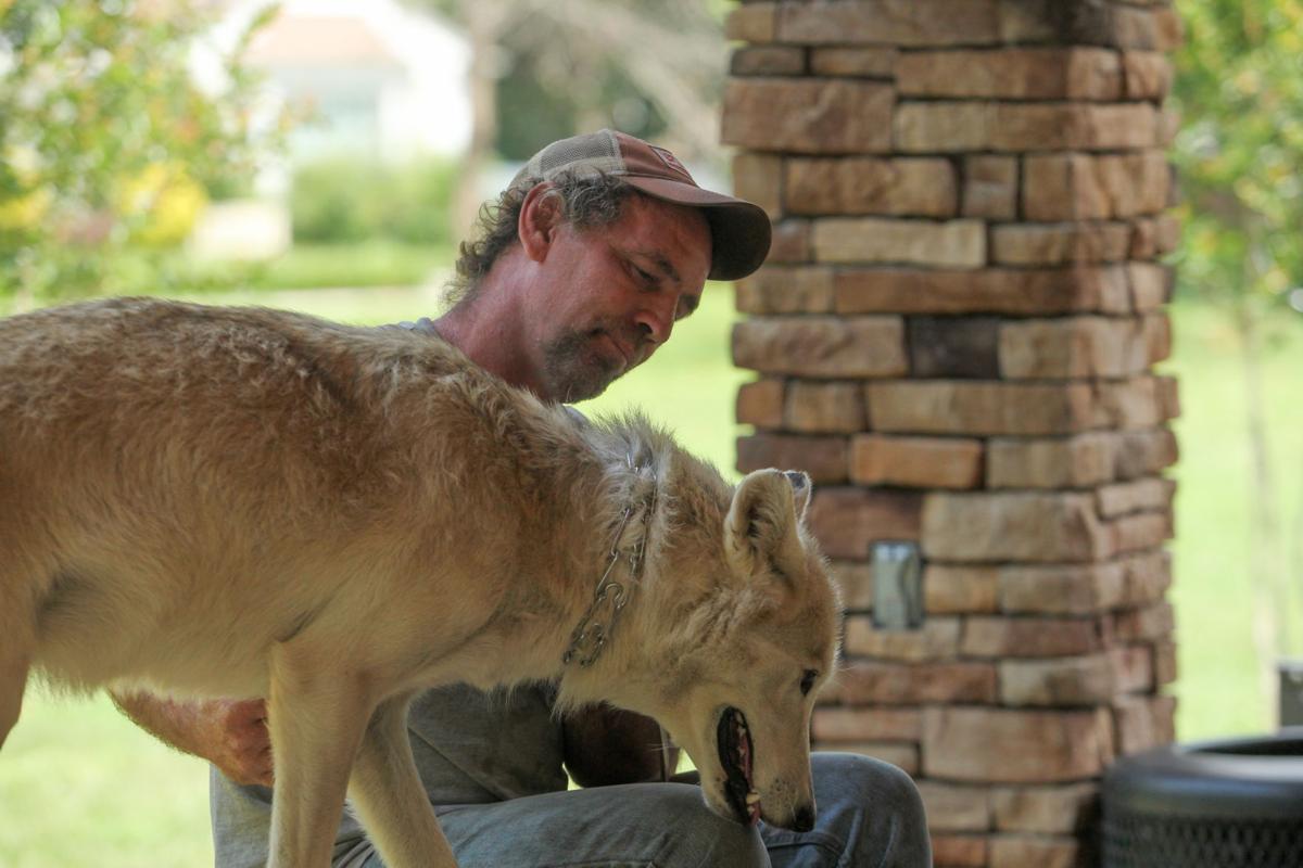 Photos: Southern Ohio Wolf Sanctuary Visits Ritter Park | Multimedia ...