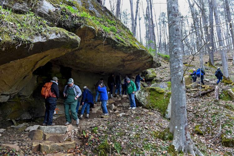 New TNC trail: Hungry Beech Preserve at Walton, Roane County | News ...
