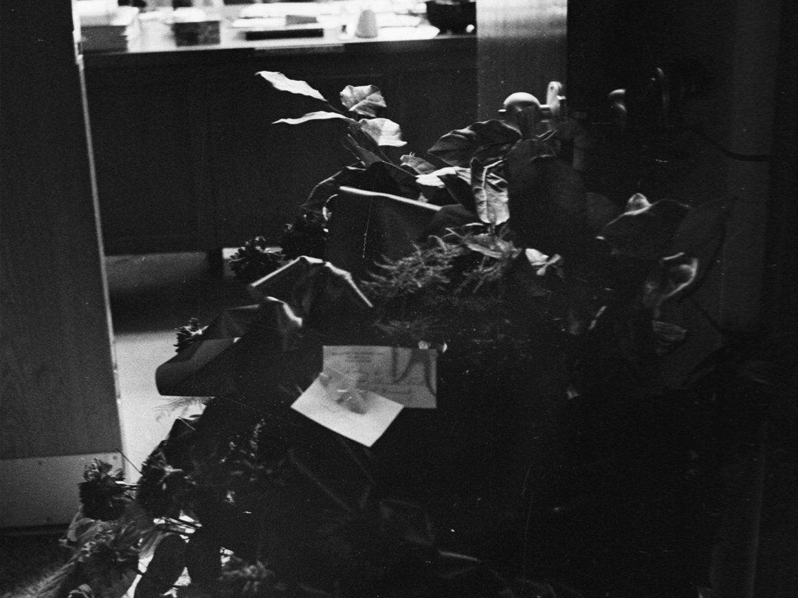 Nate Ruffin became victims' voice | The Young Herd | herald-dispatch.com