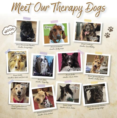 The Healing Power of Pet Therapy | Healthsource | herald-dispatch.com