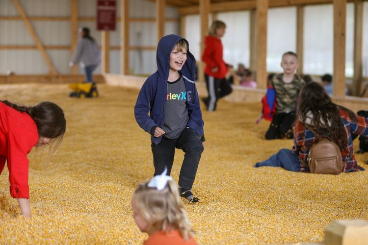Photos: Families enjoy day off at Gritt's Farm | Multimedia | herald ...