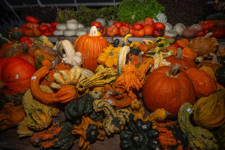 Tri-State welcomes fall | News | herald-dispatch.com