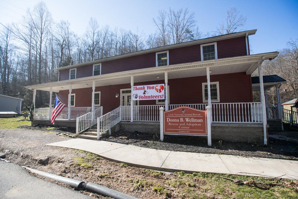 Photos: Little Victories’ Clean the Shelter Day | Multimedia | herald ...