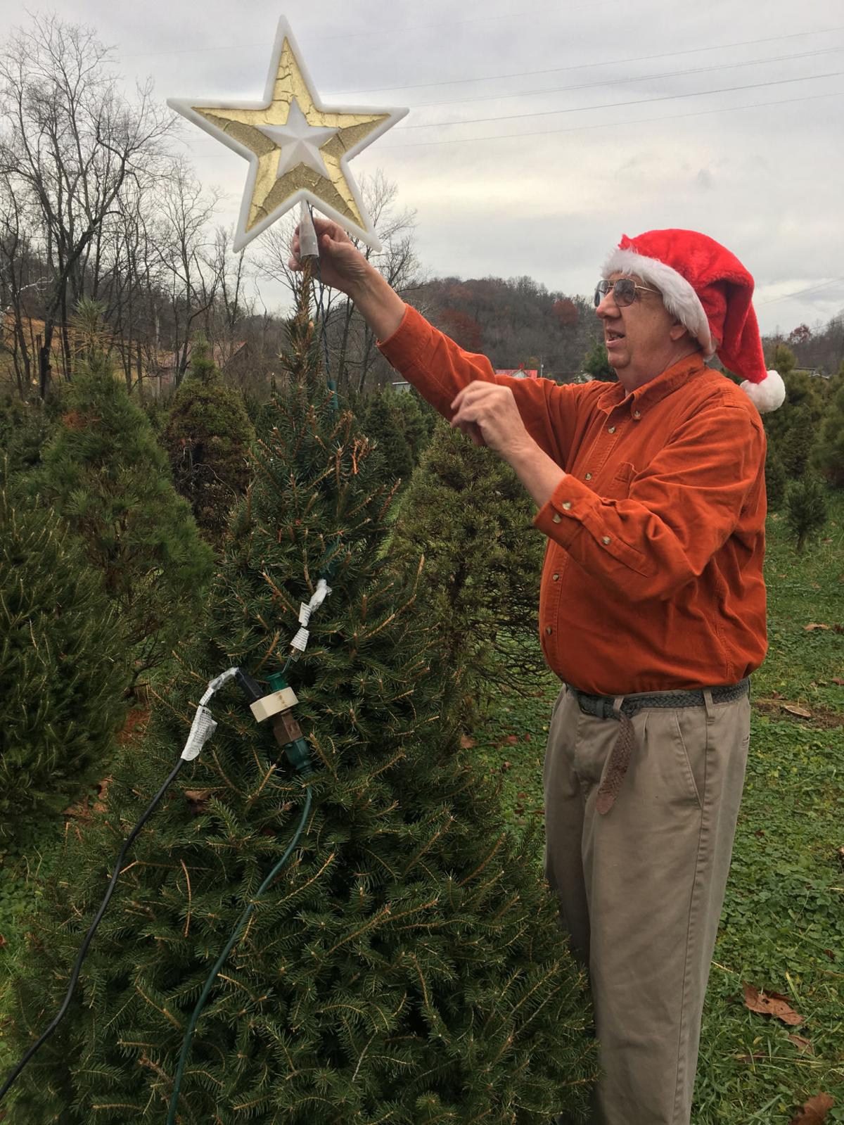 Christmas trees are big business - and hard work | Business | herald ...
