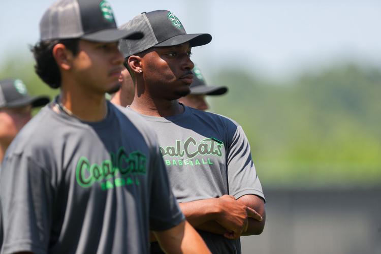 Coal Cats set for second season in Appalachian League | Sports | herald ...