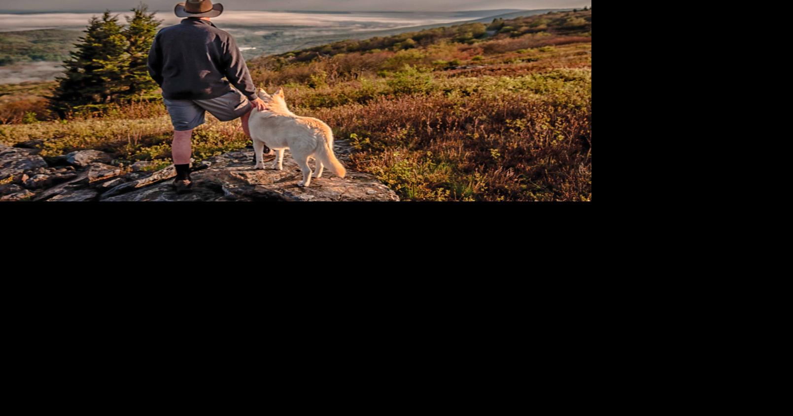 Karin Fuller: Sacred places: Craving silence and stillness | Features ...