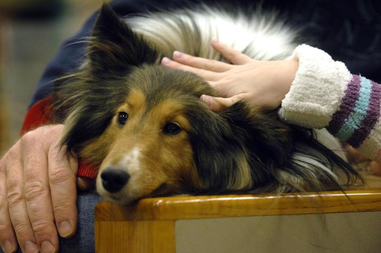 Pawsitive program encourages reading with dogs | News | herald-dispatch.com