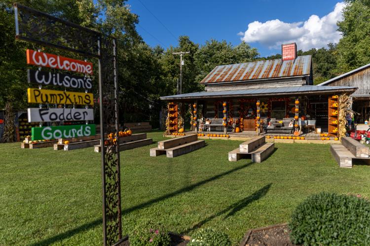 Wilson Family Farm is a hot spot for fall activities; family tradition ...