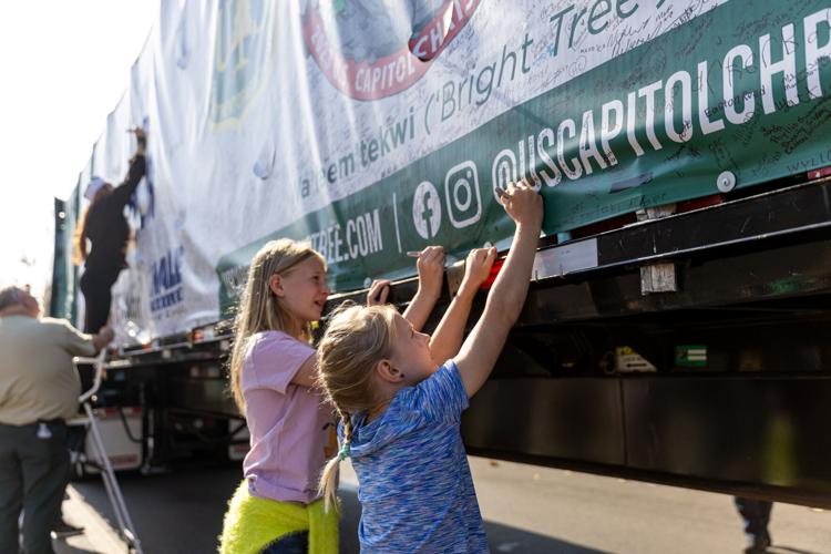 US Capitol Tree visits Huntington, Highlawn Elementary | News | herald ...