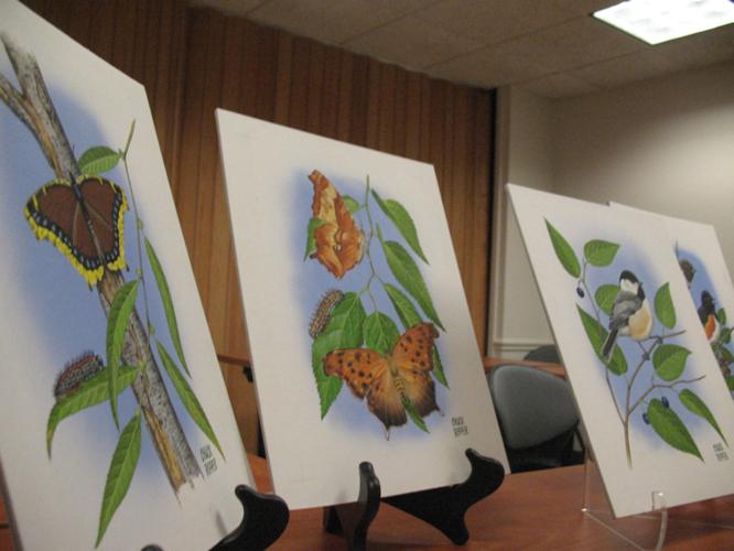 Renowned wildlife artist Chuck Ripper commissioned to illustrate flora ...