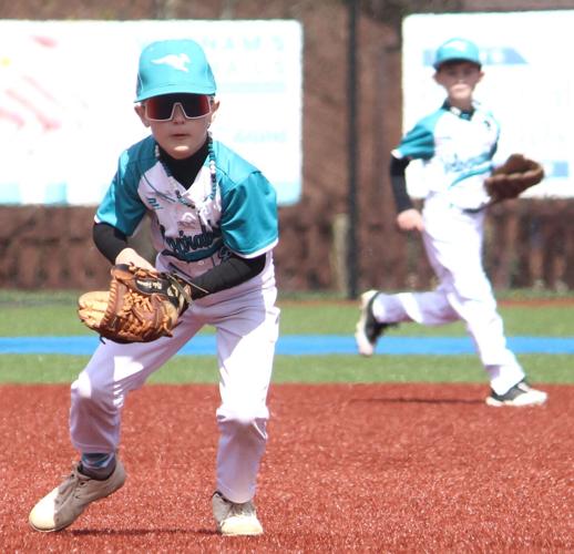 Knuckleheads host baseball tournament at Valley Park | Putnam News ...