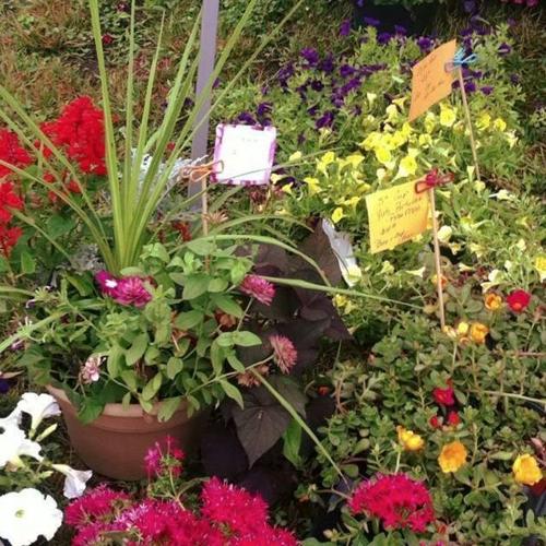 Putnam Farmers Market continues to grow as it celebrates 15 years ...