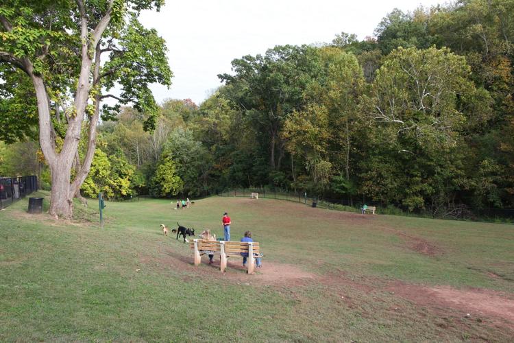 Gallery: Ritter Park | Photos News | herald-dispatch.com