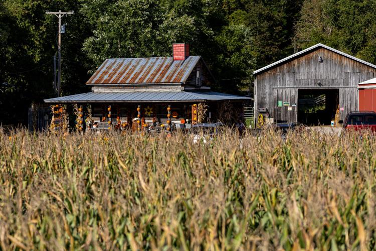 Wilson Family Farm is a hot spot for fall activities; family tradition ...