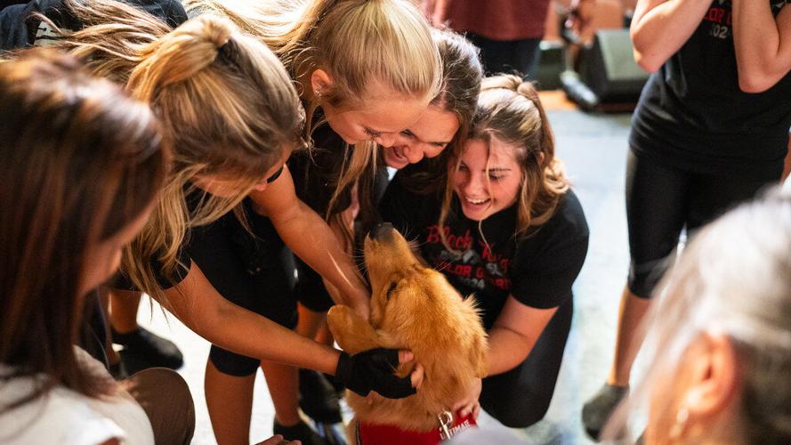 Therapy dog 'Farley' welcomed at Point Pleasant High School | News ...