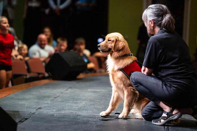 Therapy dog 'Farley' welcomed at Point Pleasant High School | News ...