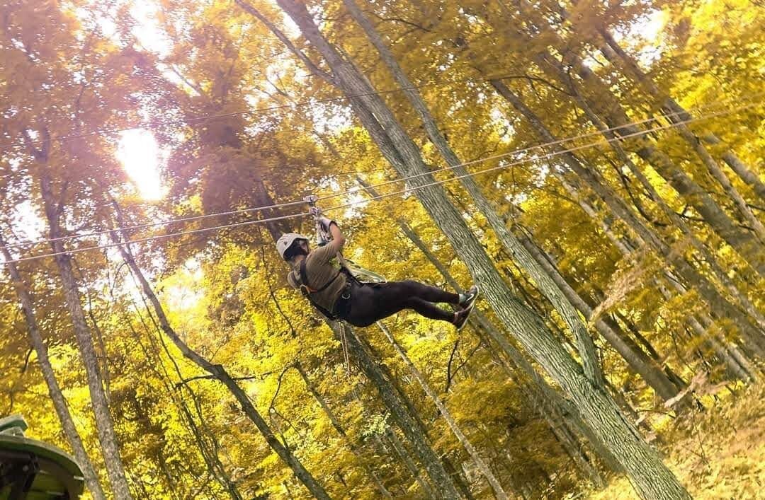Ziplining in Pipestem State Park is an immersive, fall-colored ...