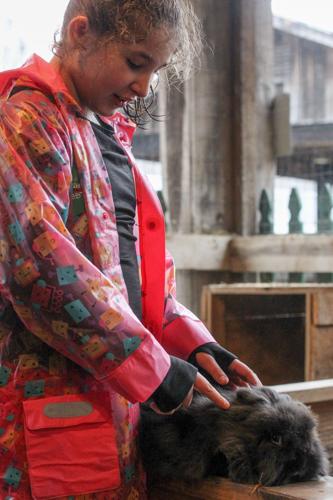 Winter Way Back Weekend event offers bird walk, other activities | News ...