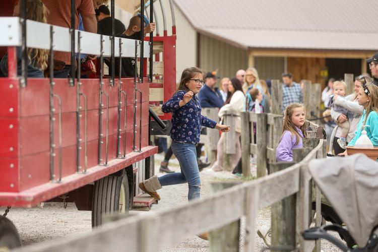 Families enjoy day off at Gritt's Farm | News | herald-dispatch.com