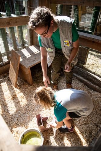 ‘Mother Nature’ figure: Rebekah Perry Franks aims to protect West ...