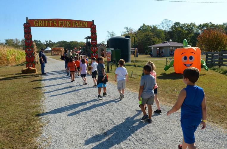 Farm’s pumpkin patch grows into smashing agritourism attraction ...
