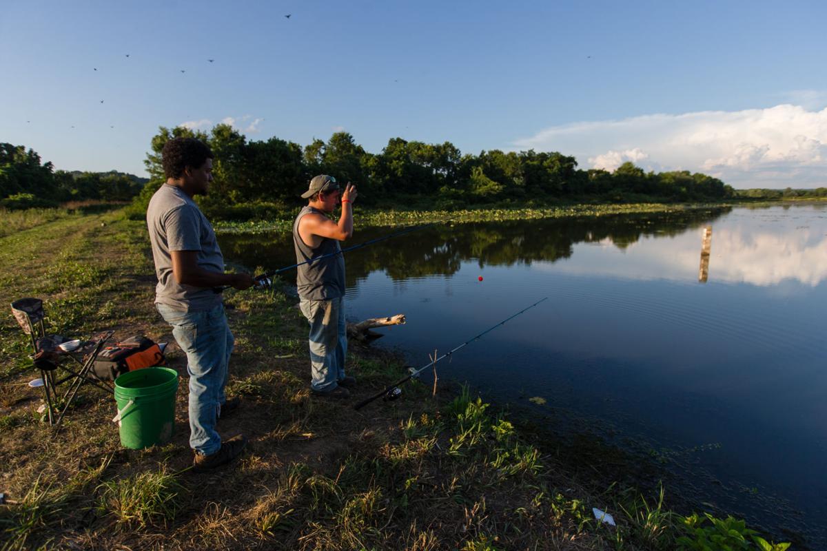 Green Bottom Wildlife Management Area offers a peaceful escape | News ...