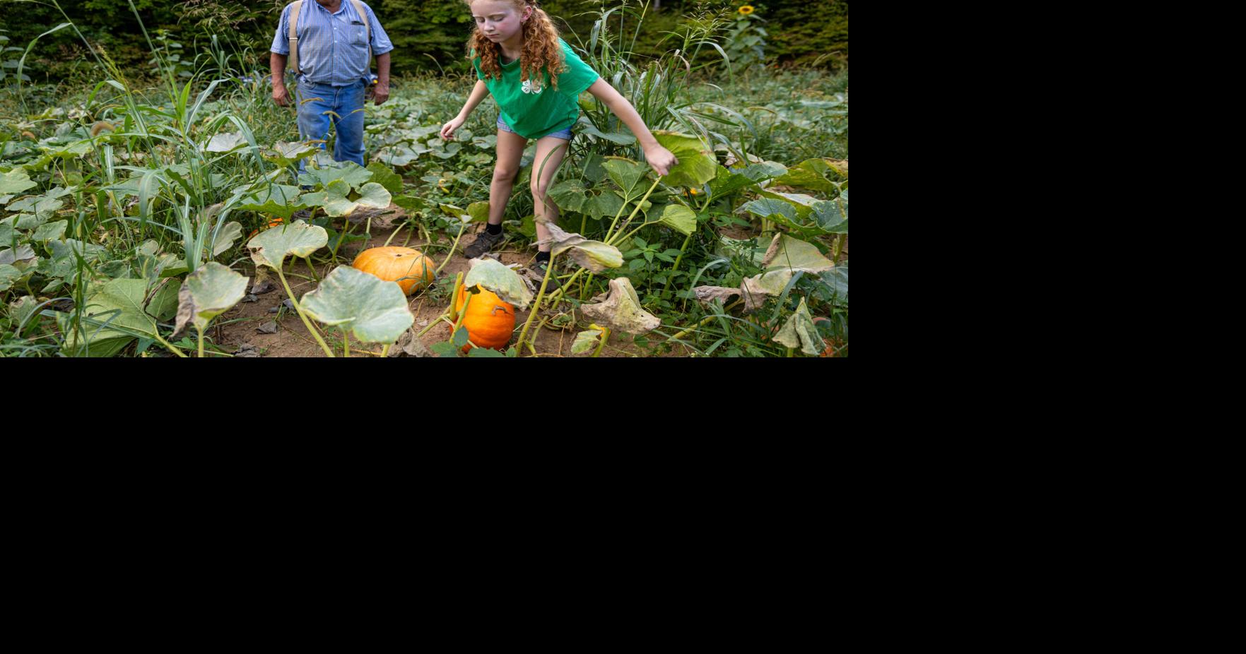 Wilson Family Farm is a hot spot for fall activities; family tradition ...