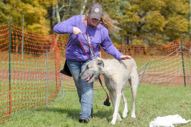 Photos: FAST CAT Lure Course Event in Barboursville | Multimedia ...