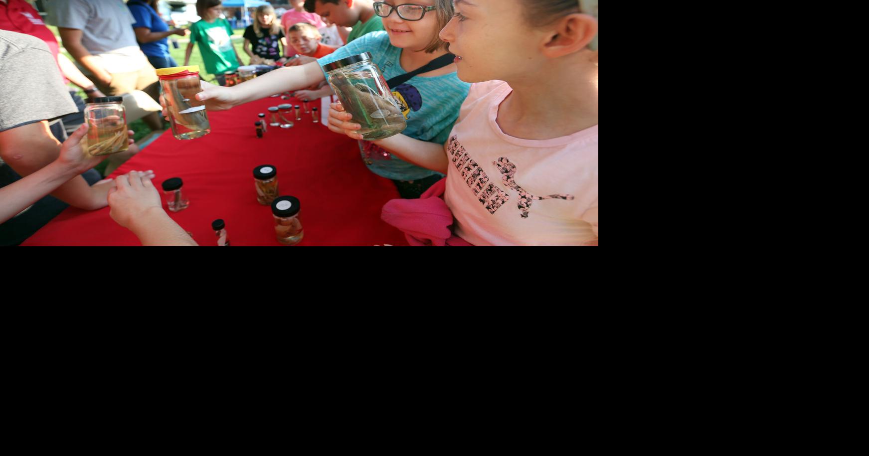 MU Water Festival teaches importance of the resource | News | herald ...