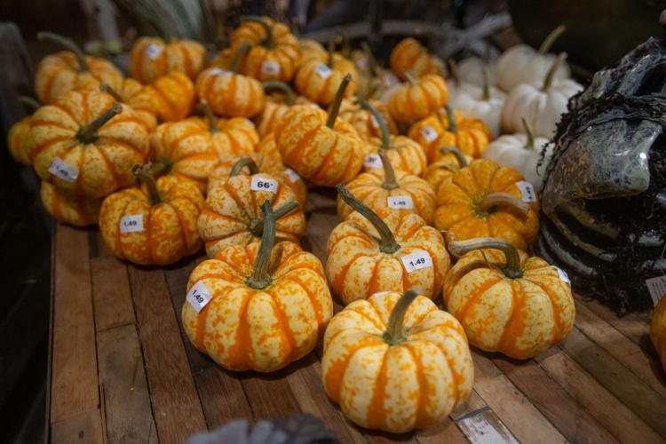 Tri-State welcomes fall | News | herald-dispatch.com
