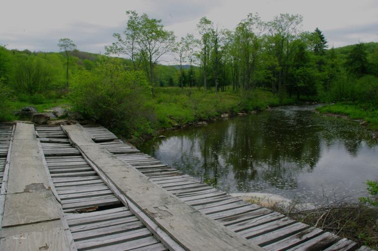 Gallery: Laura Moul photos | Photo Galleries | herald-dispatch.com