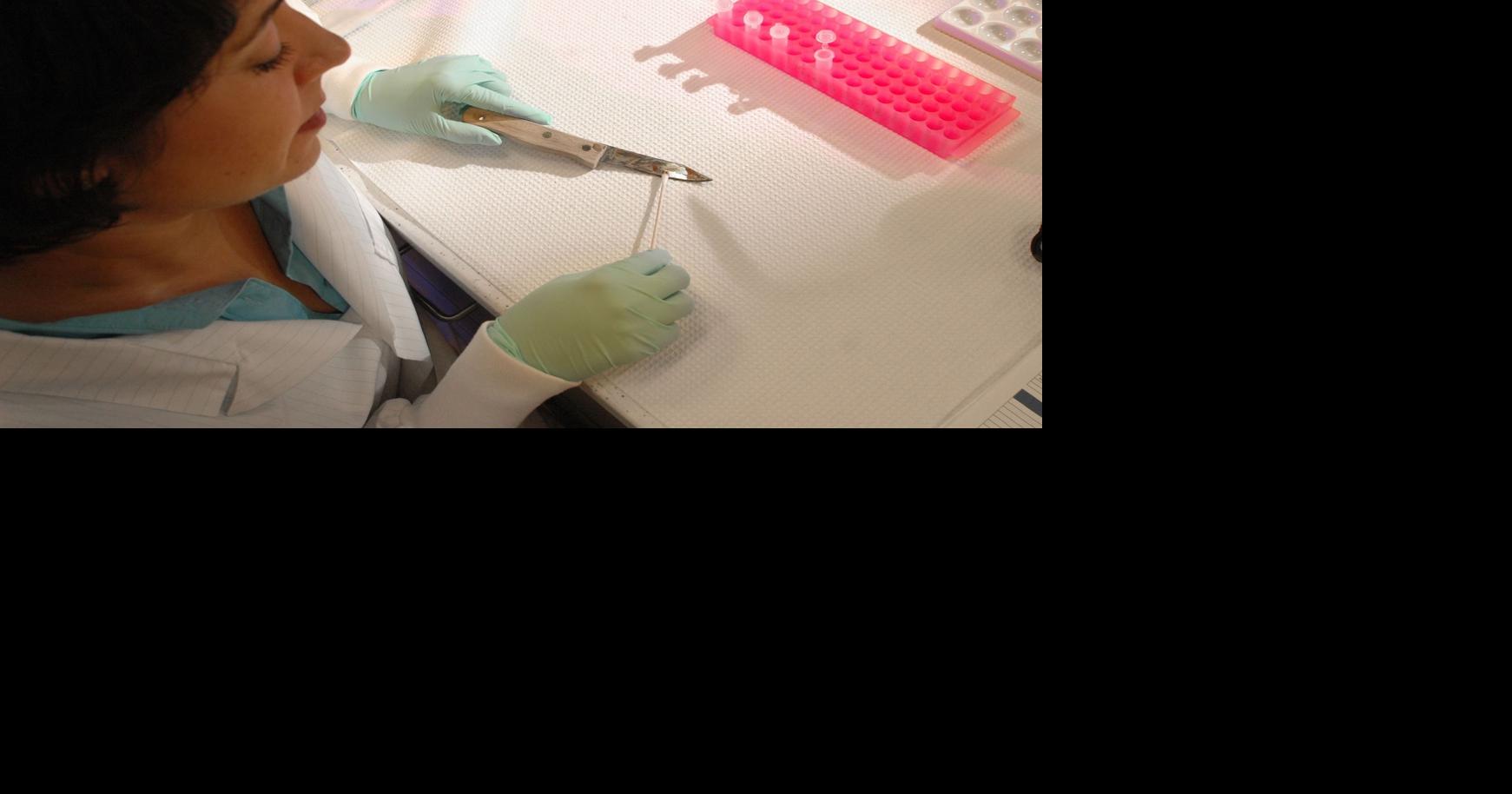 Marshall forensics teams up with police | News | herald-dispatch.com