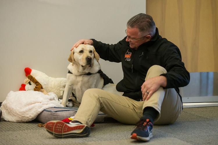 Cabell County 911's new staff member is a 5-year-old Labrador | News ...