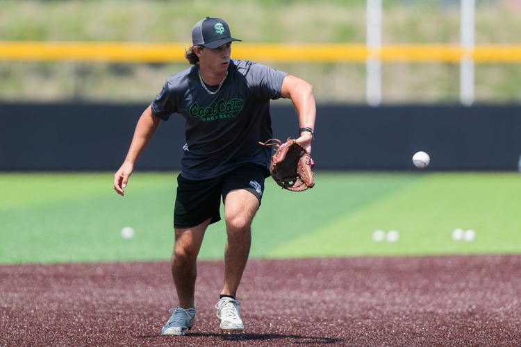 Coal Cats set for second season in Appalachian League | Sports | herald ...