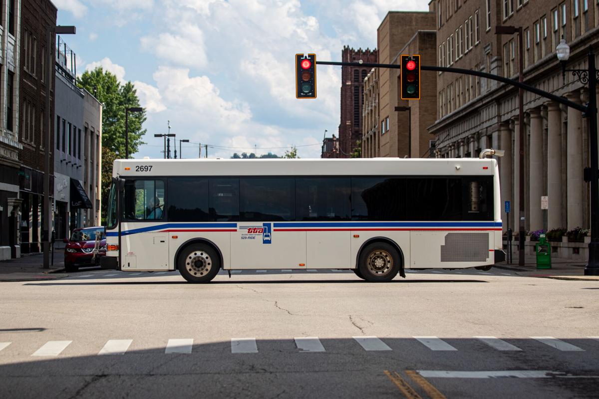TTA marks 50 years of service, celebrates with free rides | News ...