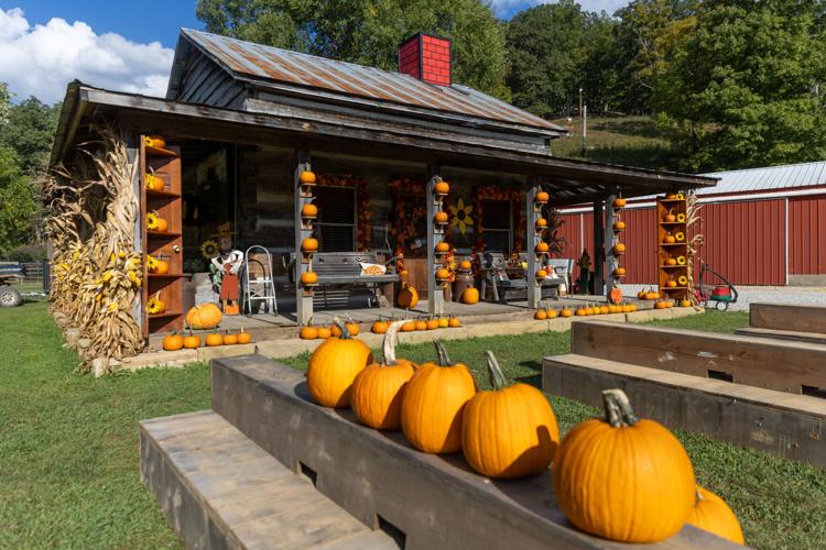 Photos: Wilson Family Farm opens for the season | Multimedia | herald ...