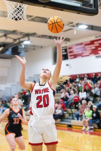 Prep girls basketball: Wayne's Adkins, Nitro's Smith share Cardinal co ...