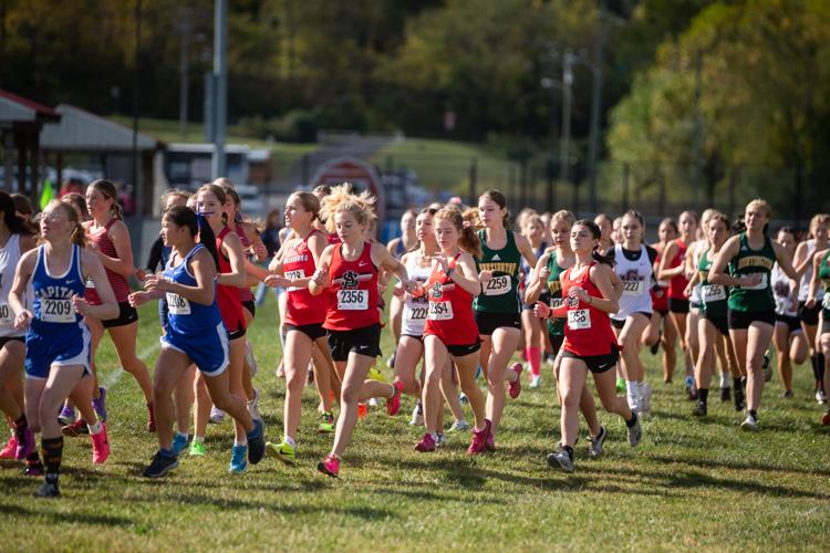Photos: MSAC Cross Country at Cabell Midland | Multimedia | herald ...