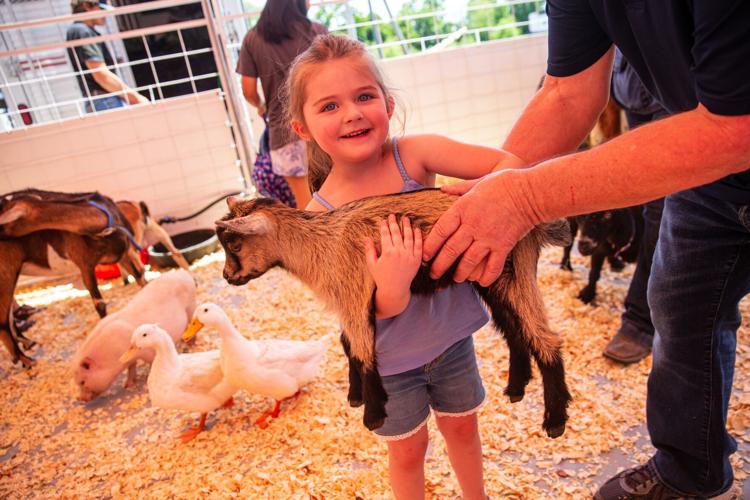 Great American Petting Farm returns to region | News | herald-dispatch.com