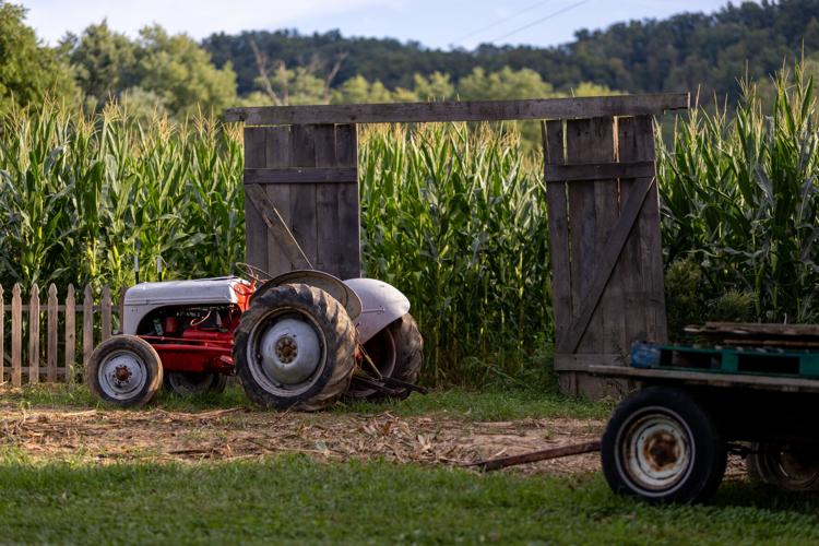 Milton Corn Maze opens this weekend | News | herald-dispatch.com