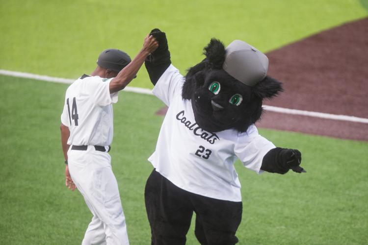 Coal Cats opener deemed a success despite rain, 6-3 loss | Sports ...